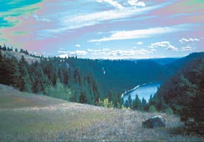 The Center of the Universe | Vidette Lake Nature Retreat